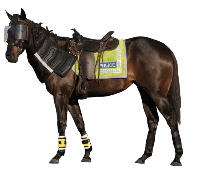 Next-Gen Riot Suits For Police & Corrections Officers | Haven Gear