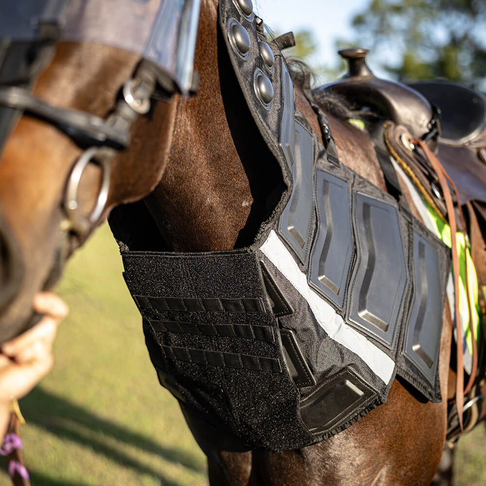 Mounted Gear for Mounted Police Horse | Haven Gear